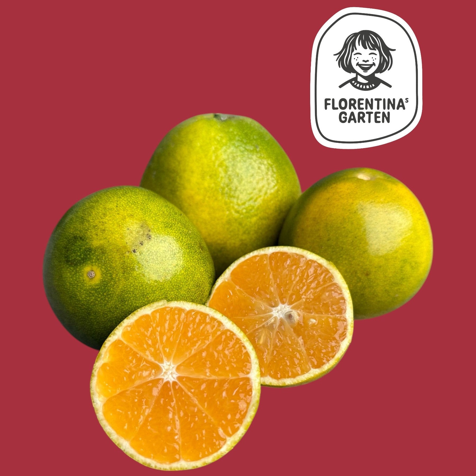 Bioland Tangelo Mapo 0,5 kg – Florentinas Garten